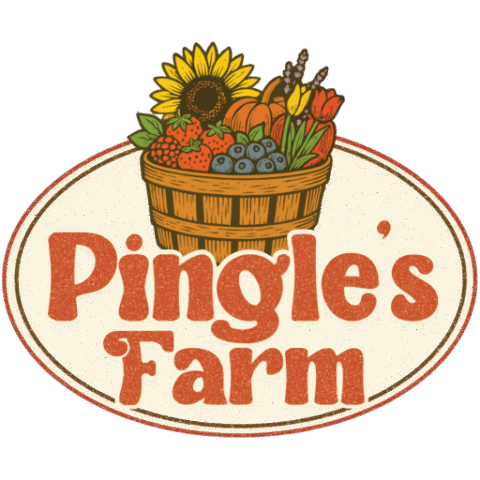 Pingle’s Tulip Days | Pingle's Farm